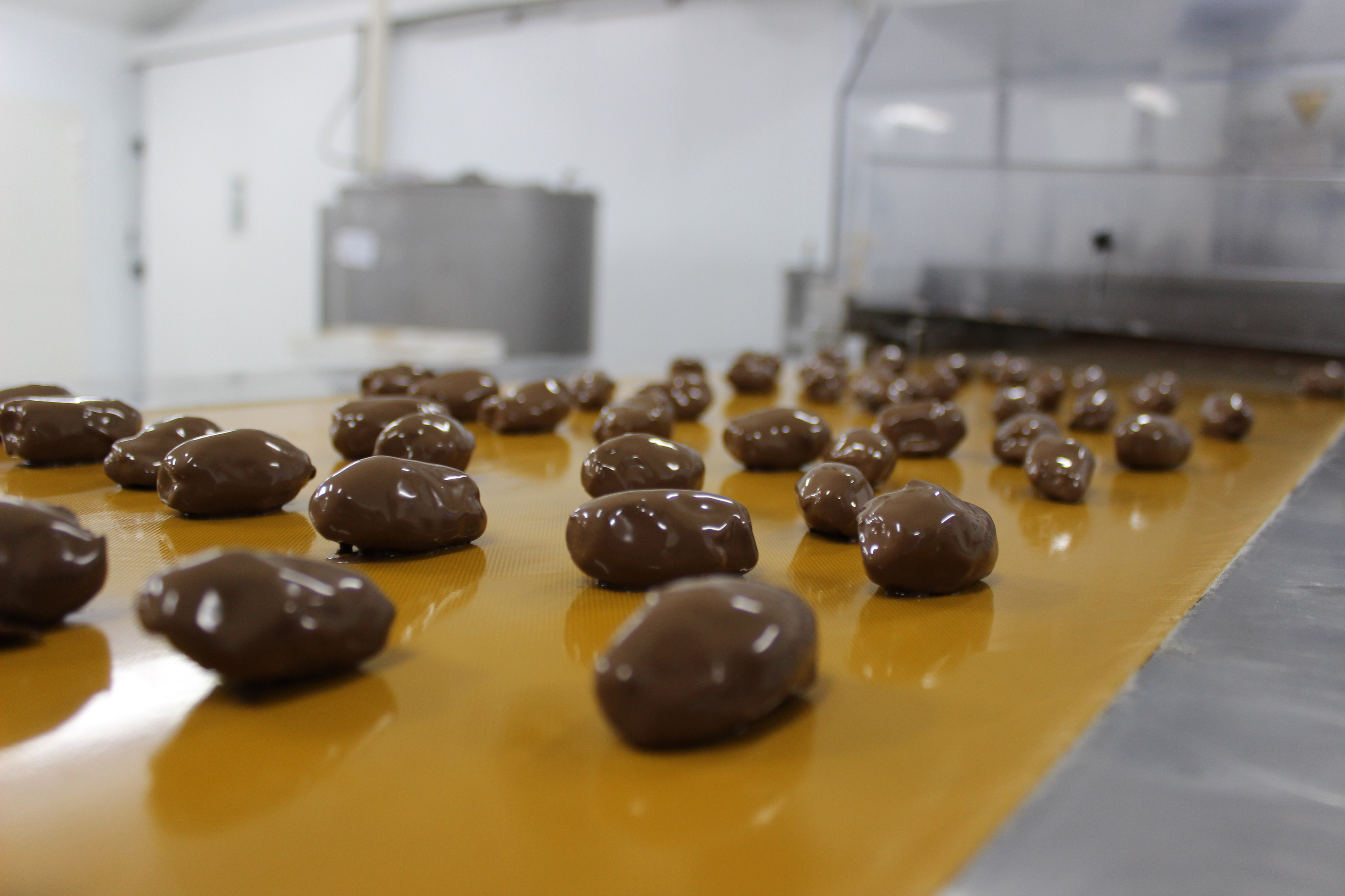 Best Food Company | Chocolate Factory | Capacity of 150 MT per month